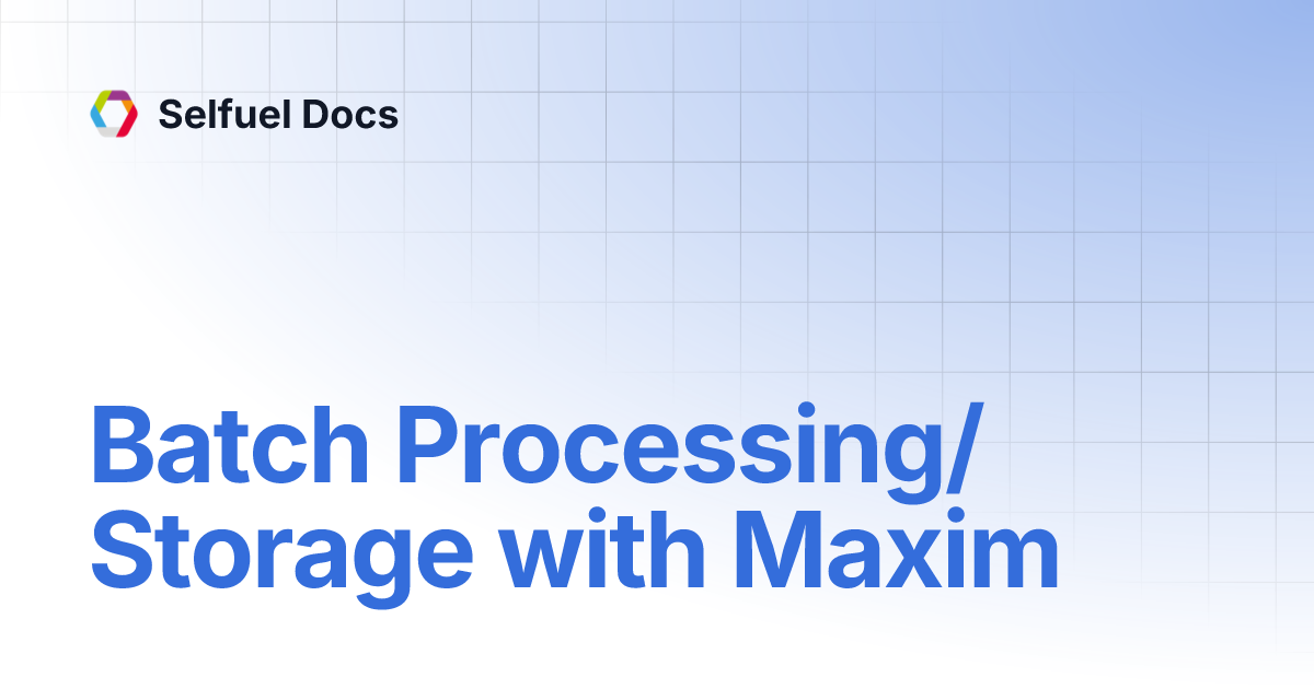 Batch Processing/Storage with Maxim | Selfuel Docs